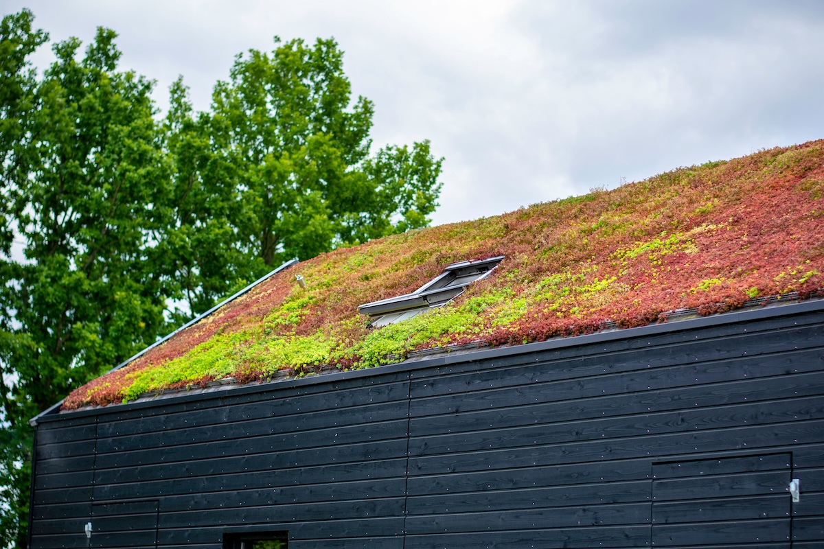 6 Most Energy Efficient Roof Types (2024)
